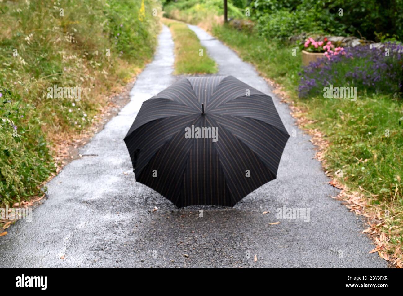 Too small umbrella rain hi-res stock photography and images - Alamy