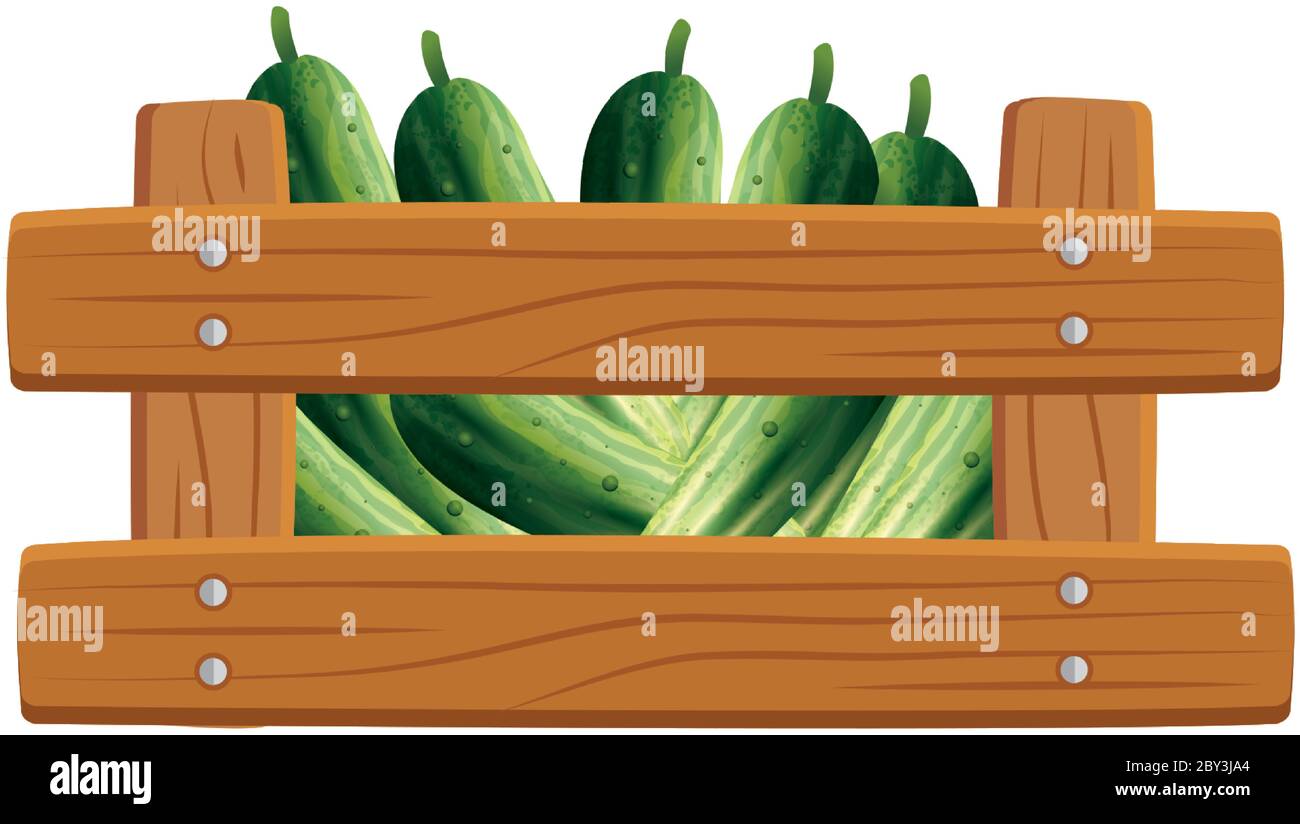 Isolated cucumbers inside box vector design Stock Vector Image & Art ...