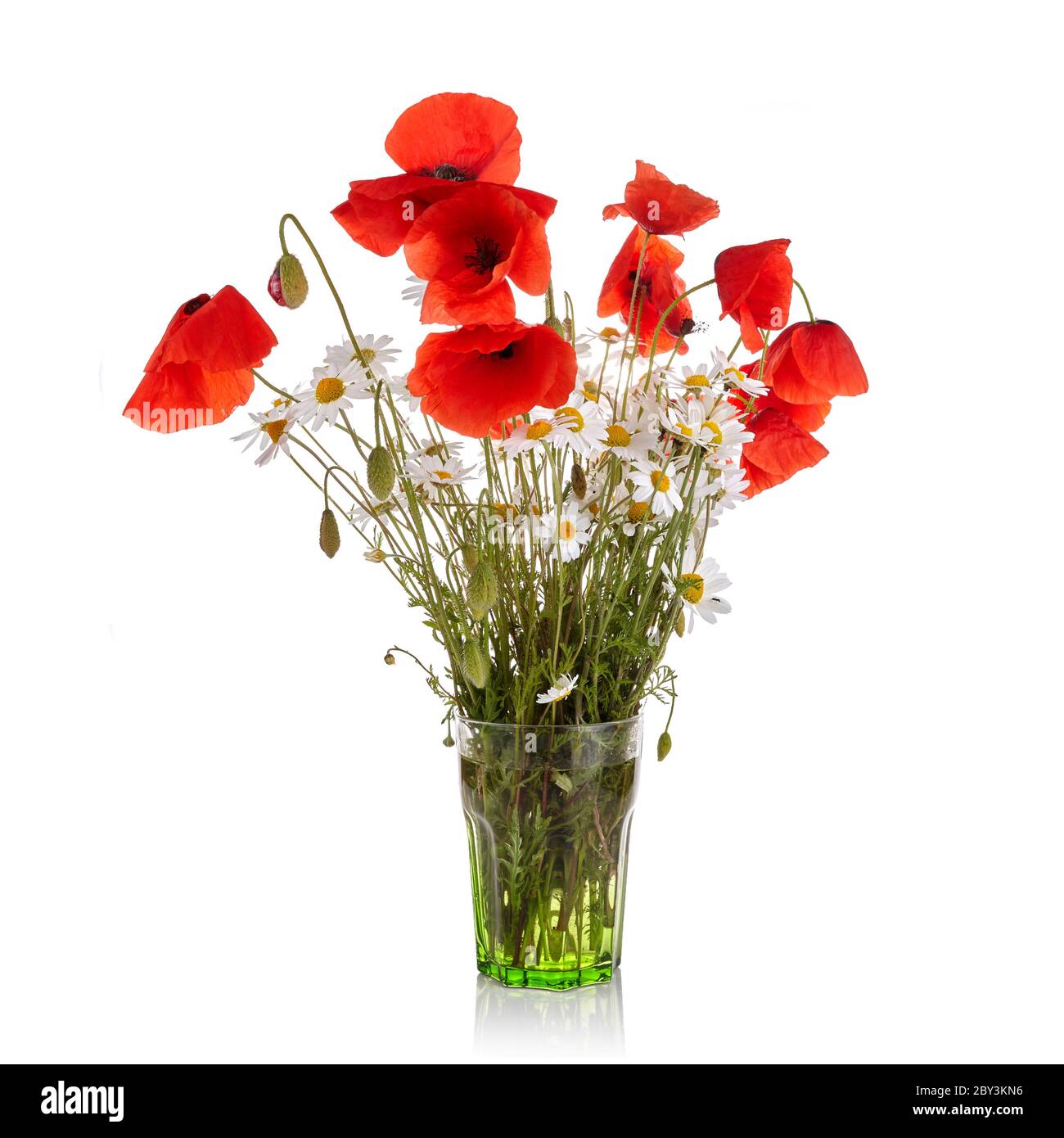 Poppy and daisy wild flowers bouquet isolated on white background ...