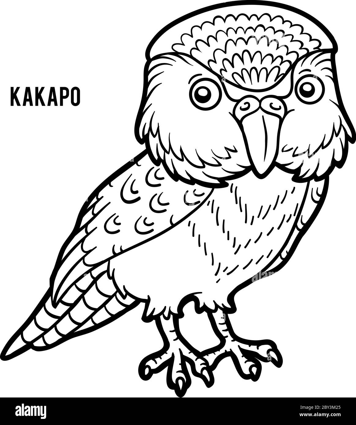 Coloring book for children, Kakapo Stock Vector Image & Art - Alamy