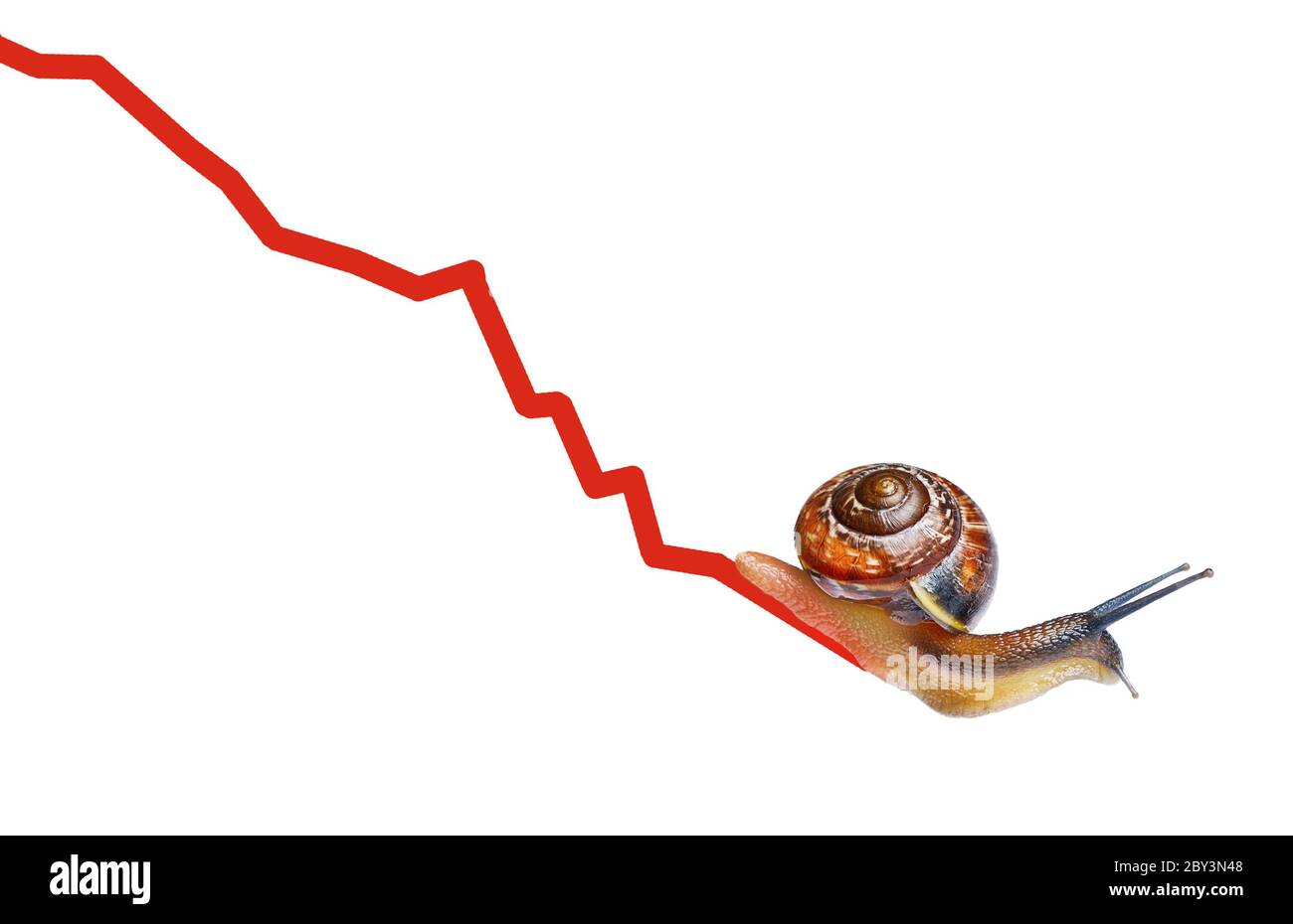 Snail on chart currency Stock Photo - Alamy