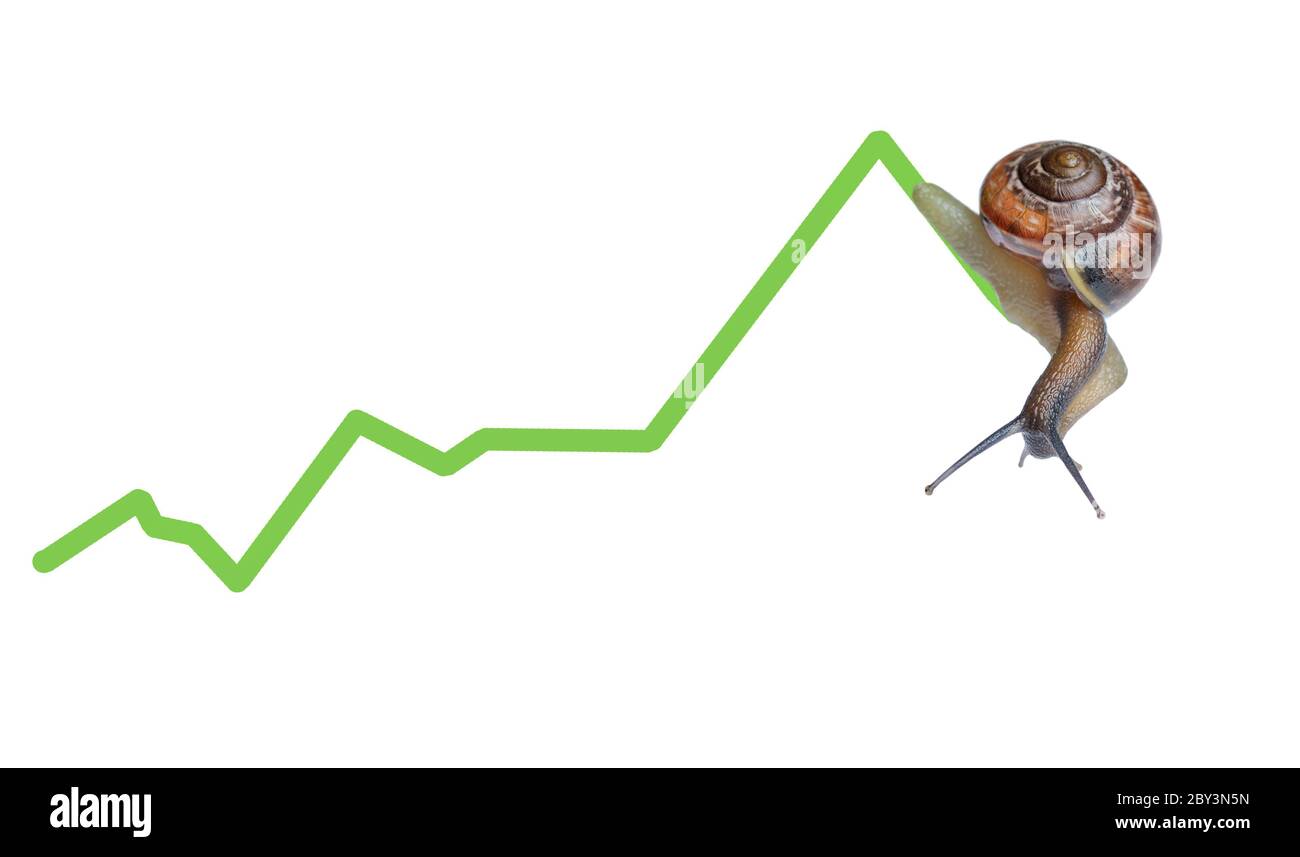 Snail on chart currency Stock Photo - Alamy