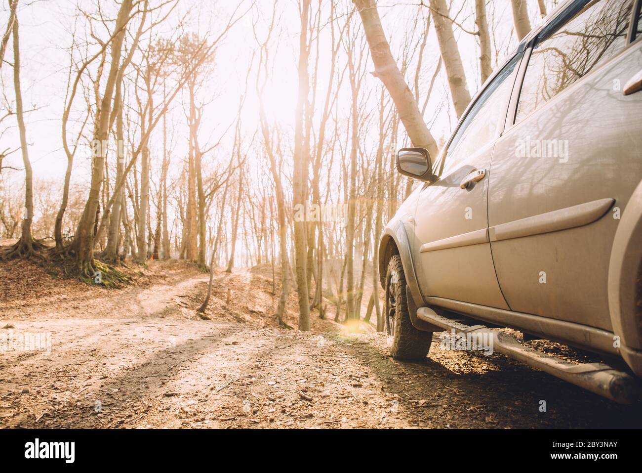 suv car in forest off road Stock Photo - Alamy