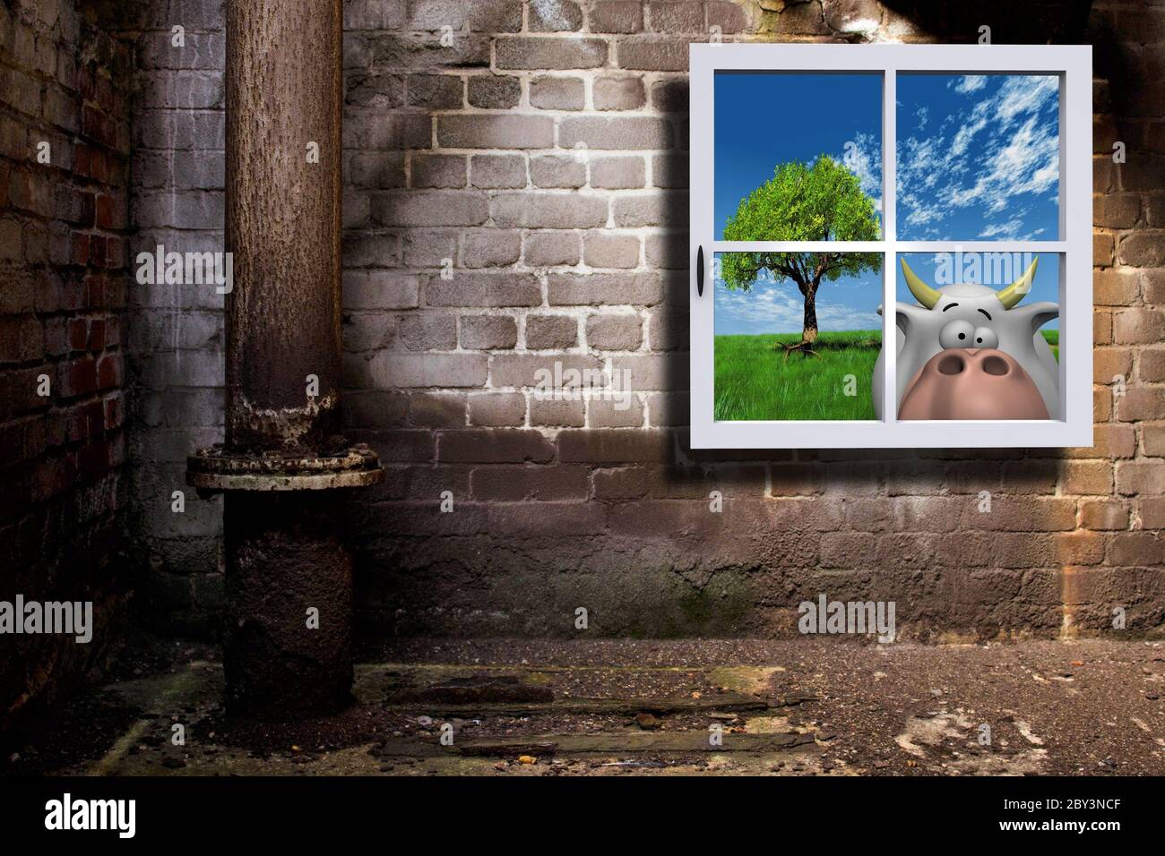 window and cow Stock Photo - Alamy