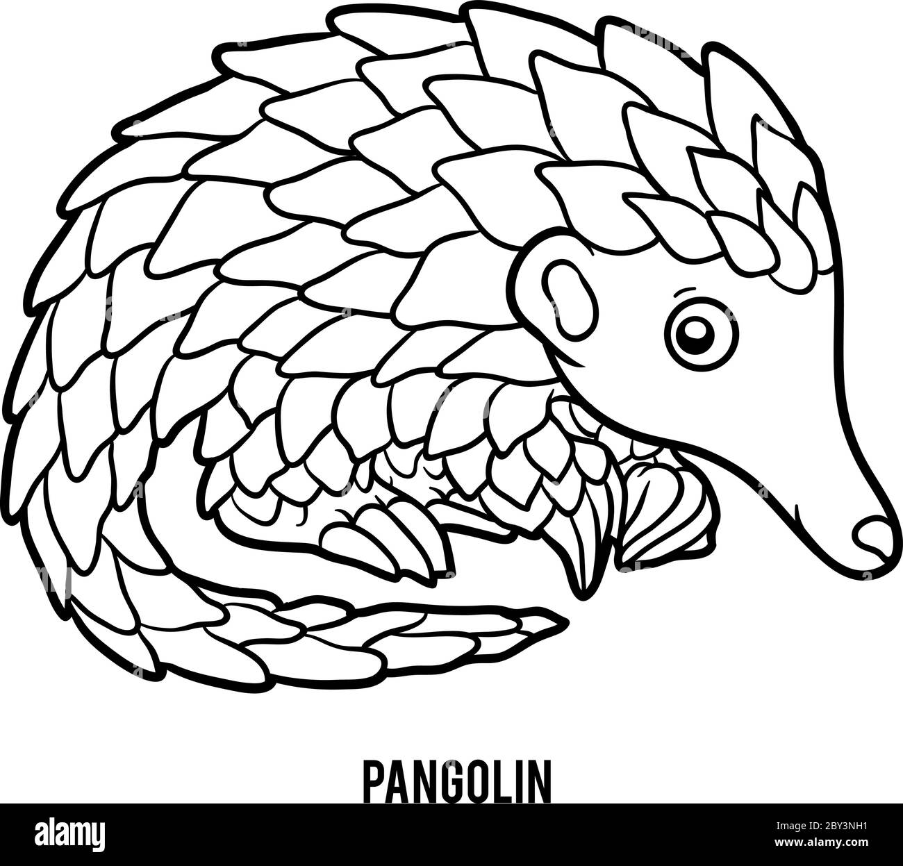 Coloring book for children, Pangolin Stock Vector Image & Art - Alamy