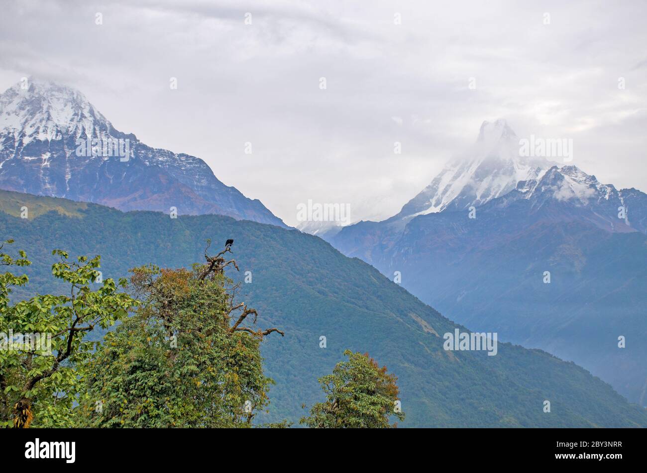 Landscape of Mount Himalayas Nepal Stock Photo - Alamy