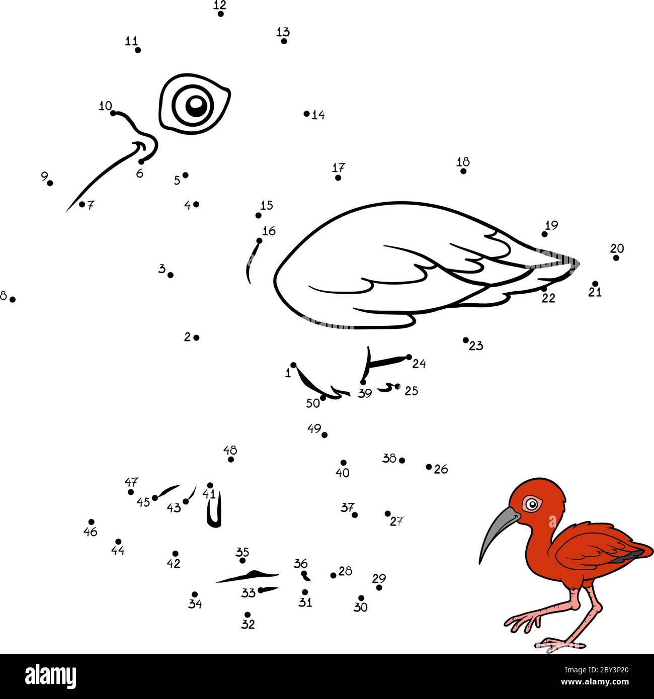 Numbers game, education dot to dot game for children, Scarlet ibis ...