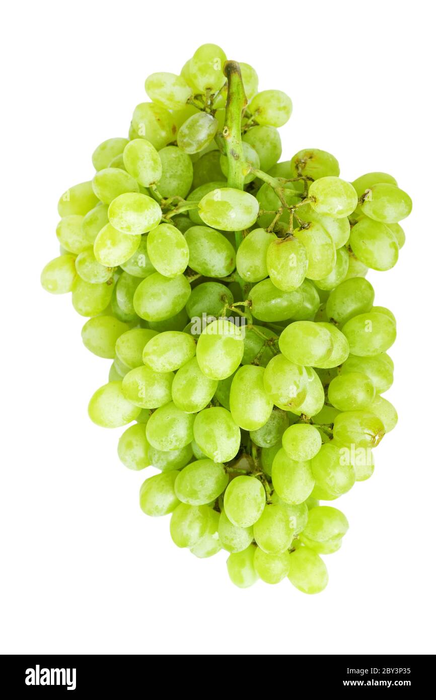 Glossy grape Cut Out Stock Images & Pictures - Alamy