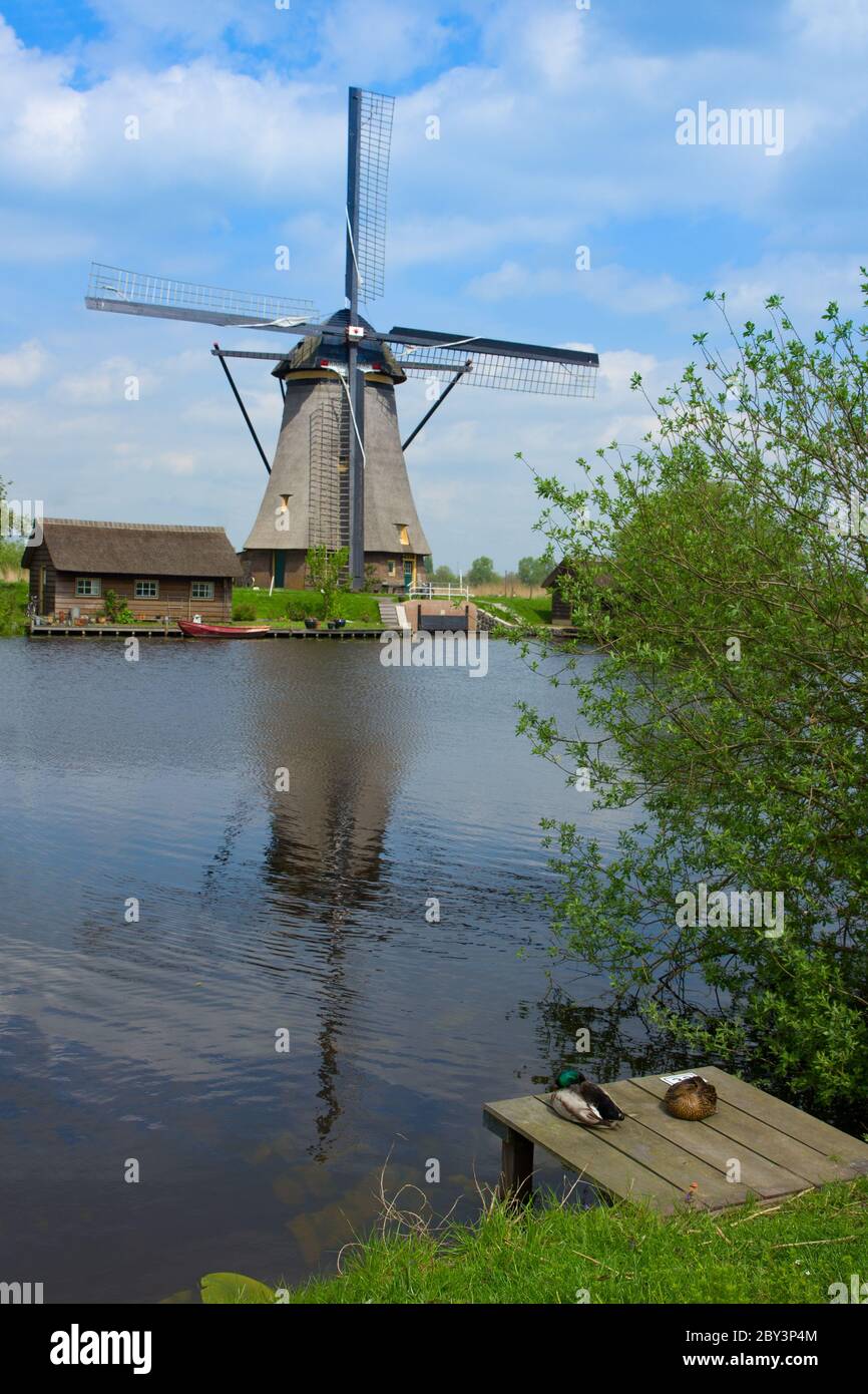 idilyc scene with dutch windmill Stock Photo - Alamy