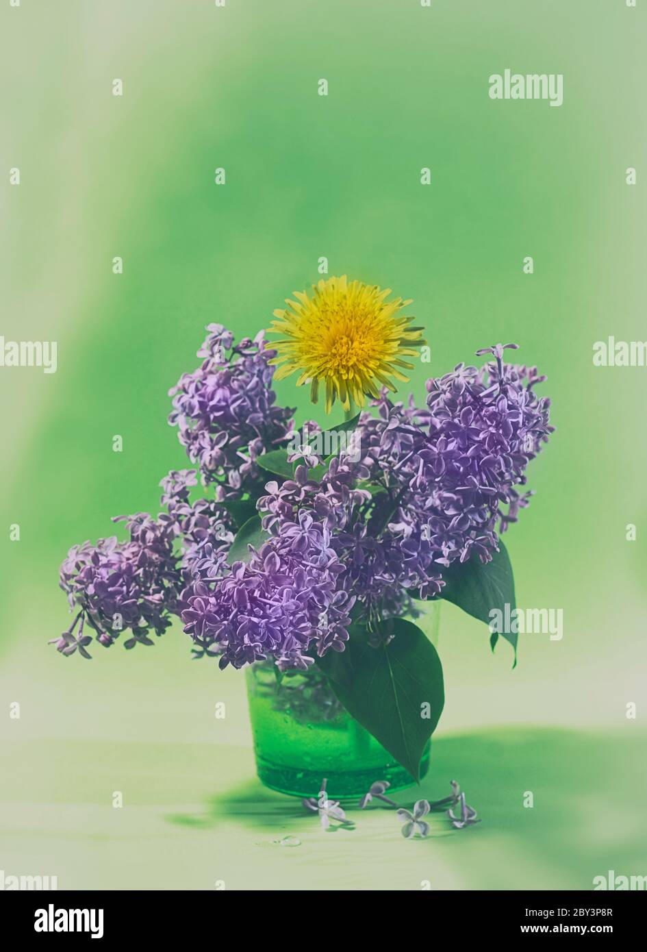 simple still life with lilac in a glass green glass with a single Daisy ...