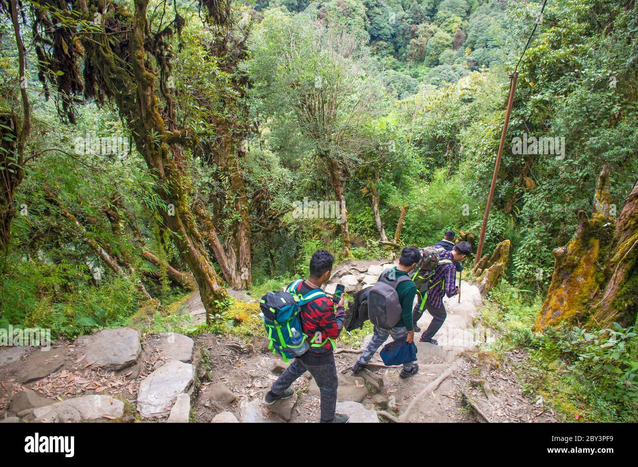 Tourists walk the trail in Himalayas mountains Nepal Stock Photo - Alamy