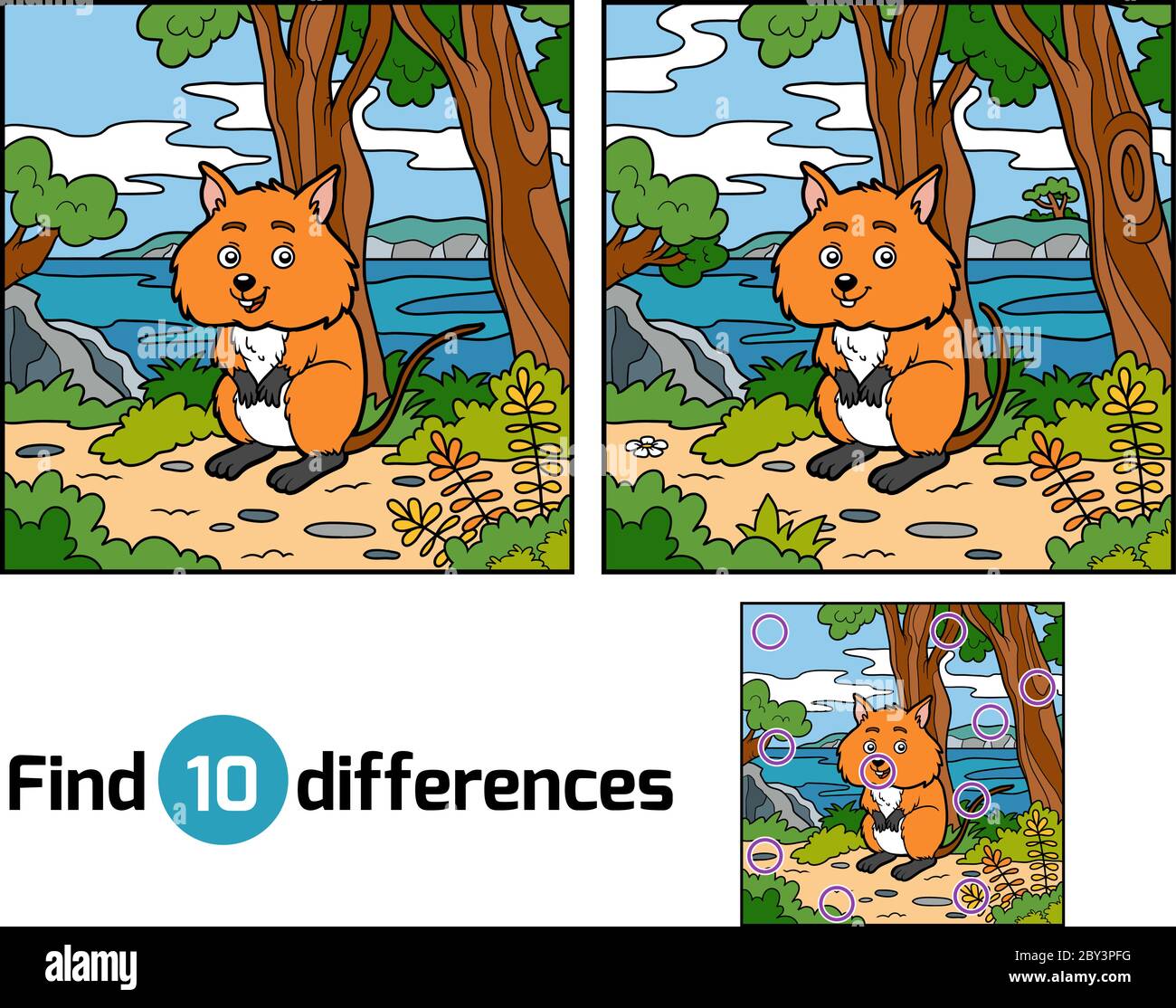 Find differences education game for children, Quokka Stock Vector Image ...