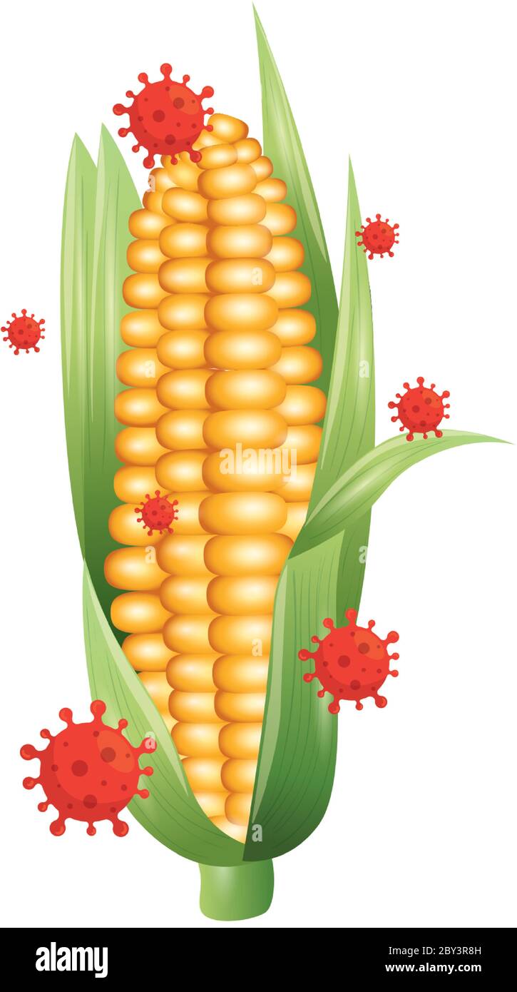Corn virus Stock Vector Images - Alamy