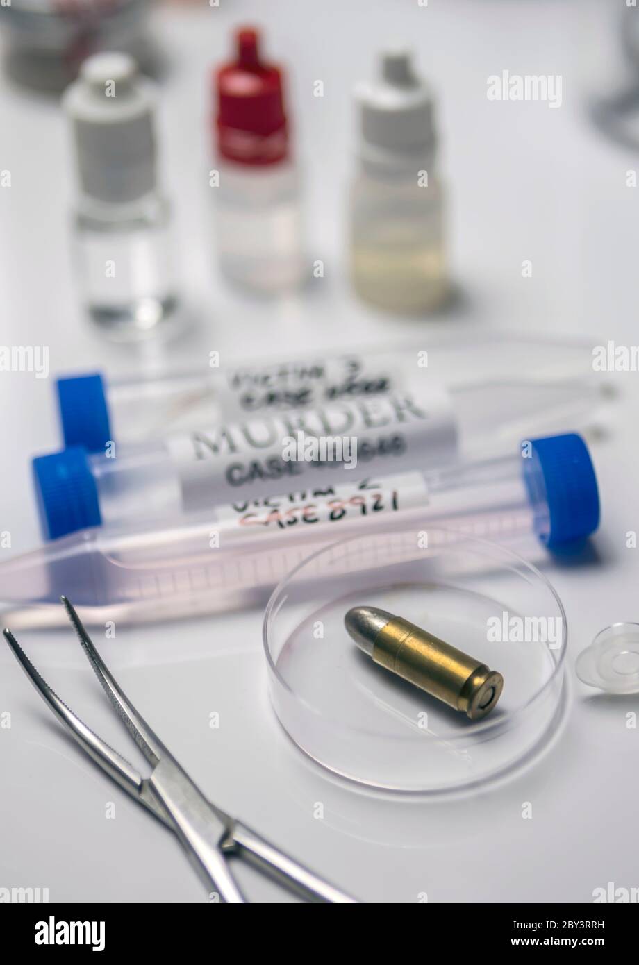 Examining a bullet hi-res stock photography and images - Alamy