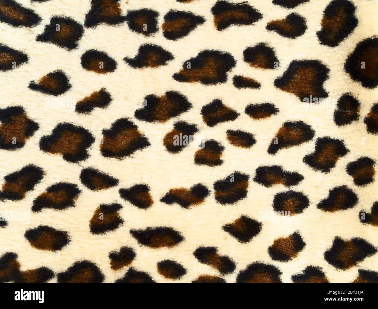 spotted leopard background Stock Photo - Alamy