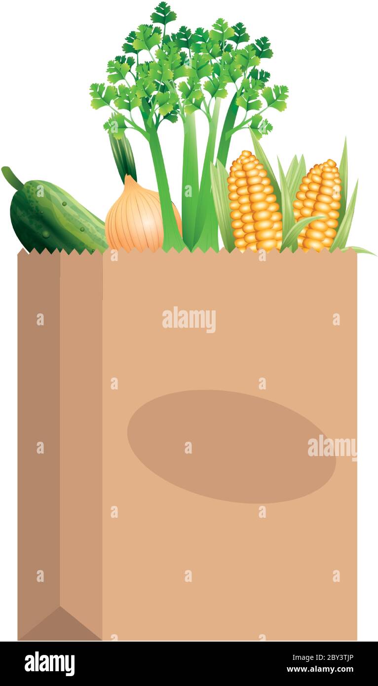 Vegetables inside bag vector design Stock Vector Image & Art - Alamy