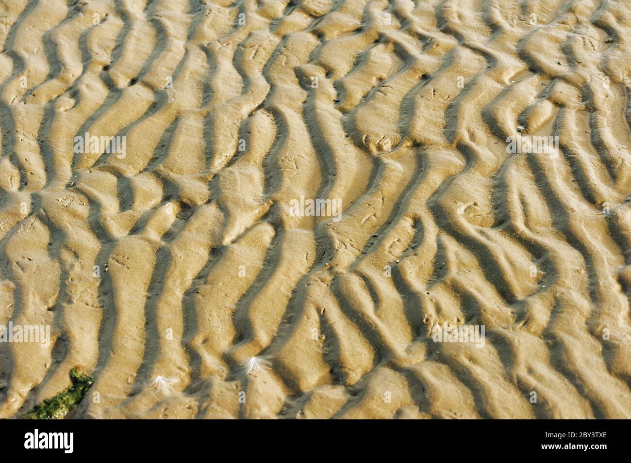 Texture of sand Stock Photo - Alamy
