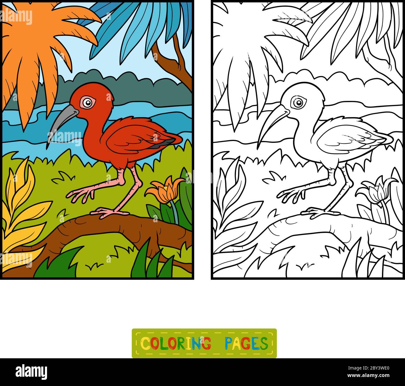 Coloring book for children, Scarlet ibis Stock Vector Image & Art - Alamy