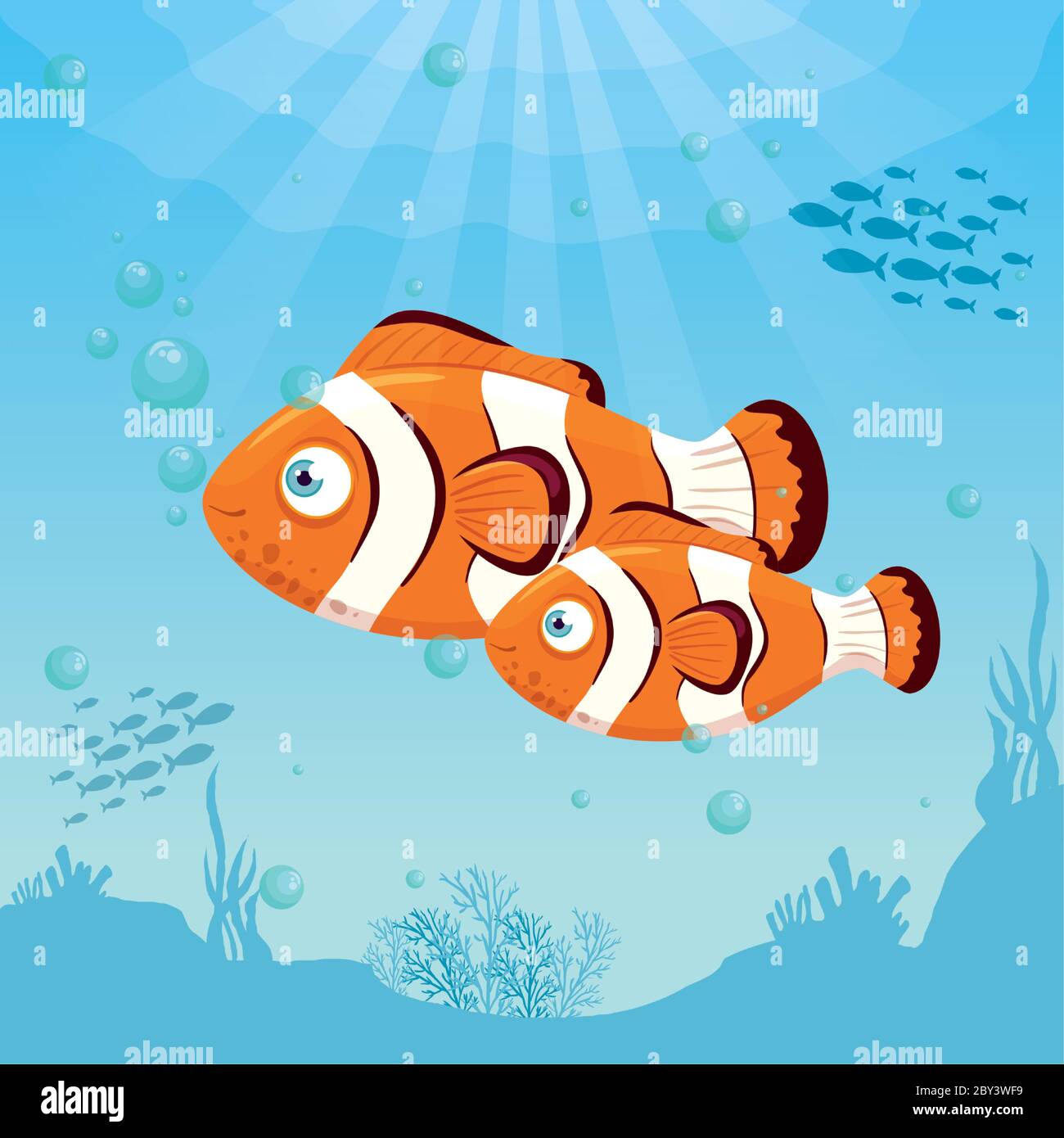 clownfish animals marine in ocean, sea world dwellers, cute underwater ...