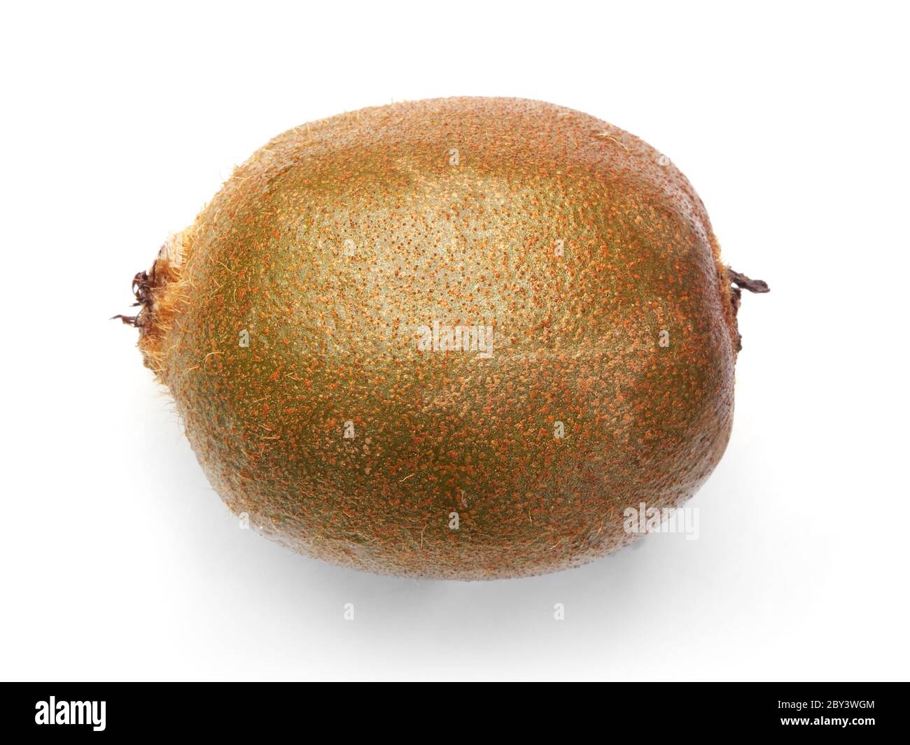 One kiwi hi-res stock photography and images - Alamy