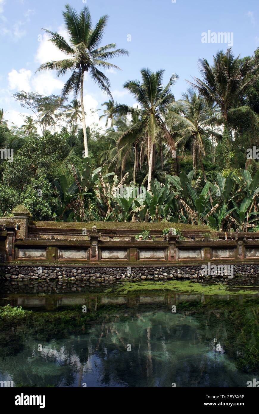 Pebble pond hi-res stock photography and images - Alamy