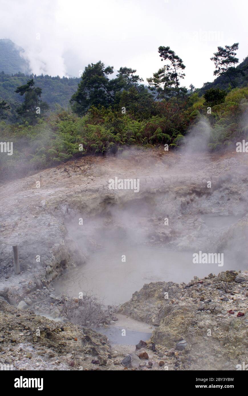 Bubbling mud pool Stock Photo - Alamy