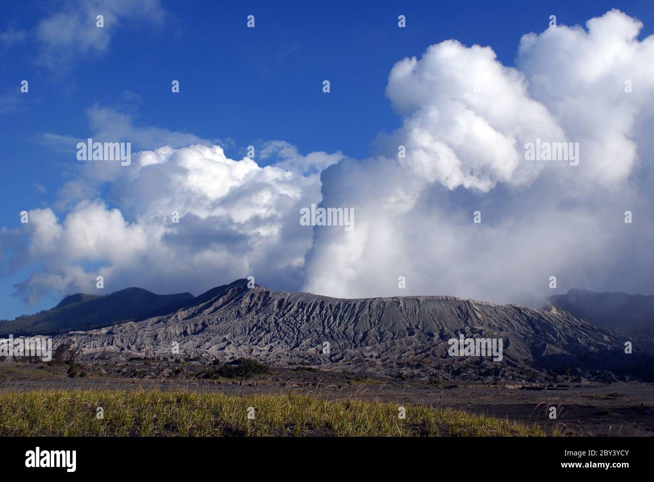 Grass and vulcano Stock Photo - Alamy