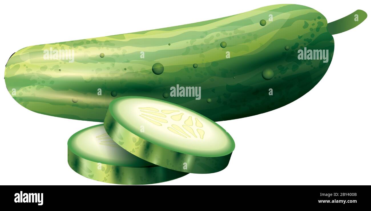 Isolated cucumber vegetable vector design Stock Vector Image & Art - Alamy
