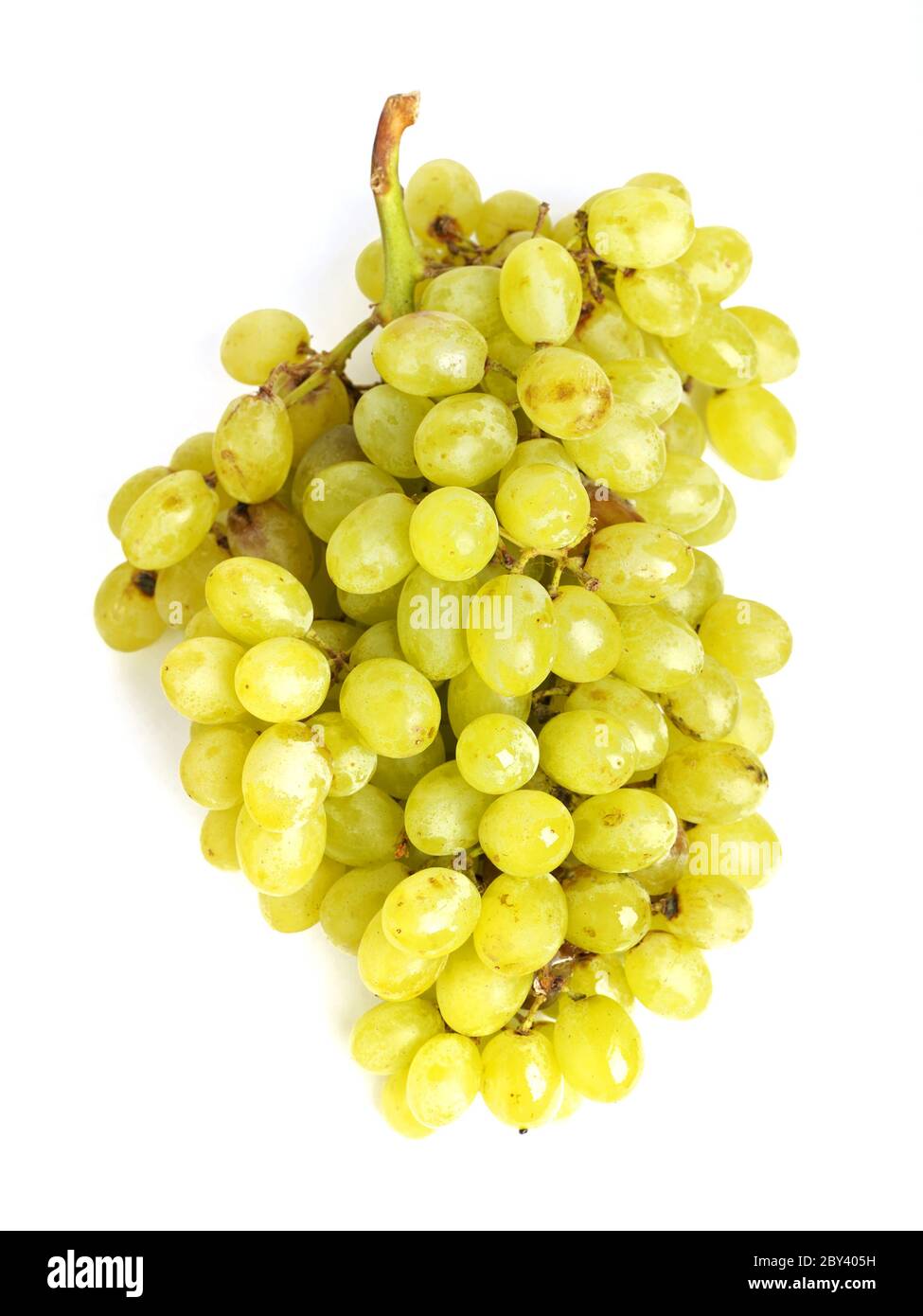 Glossy grape Cut Out Stock Images & Pictures - Alamy