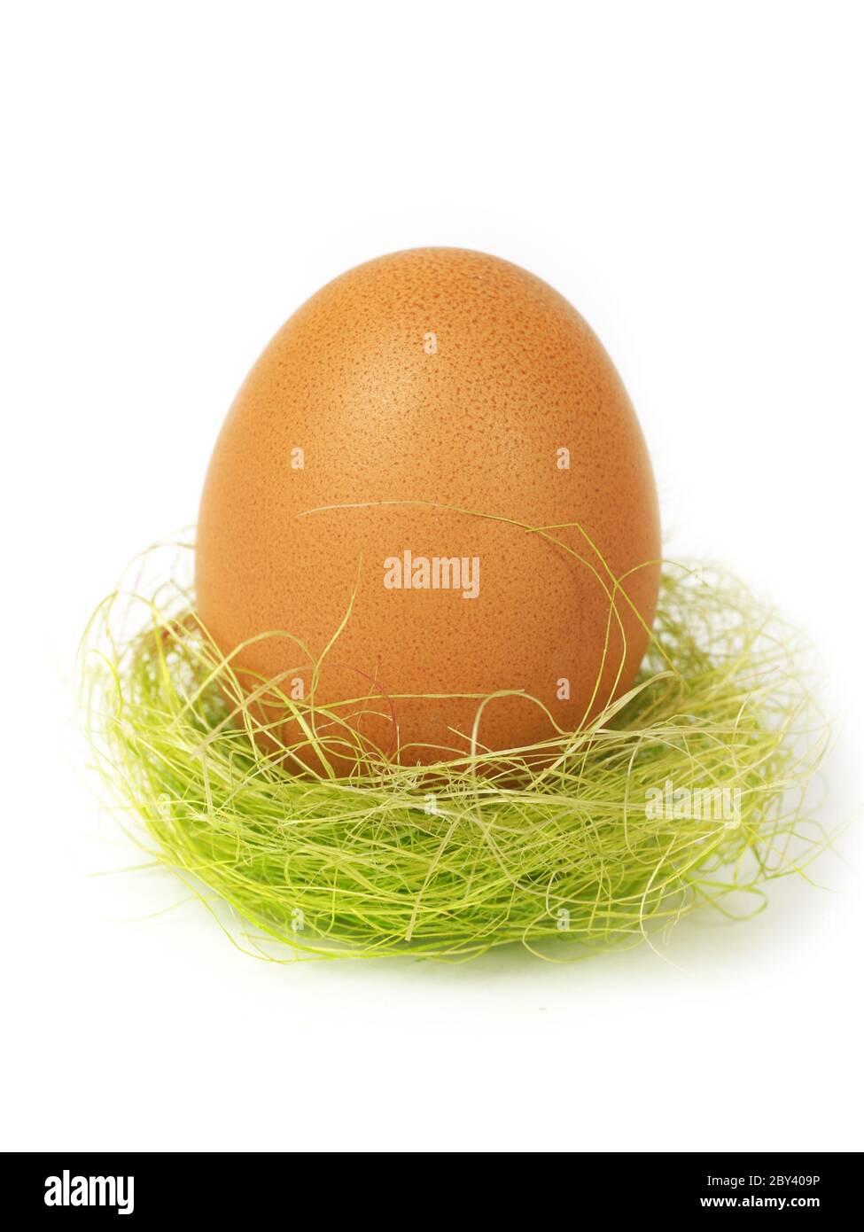 Egg in nest Stock Photo - Alamy