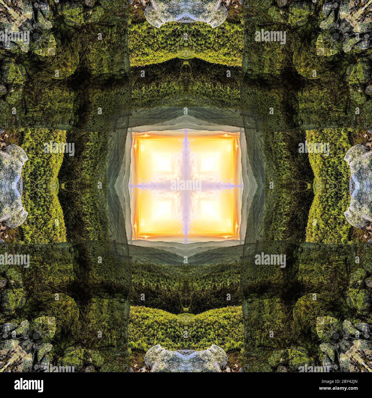 Seamless symmetrical pattern abstract nature garden texture Stock Photo ...