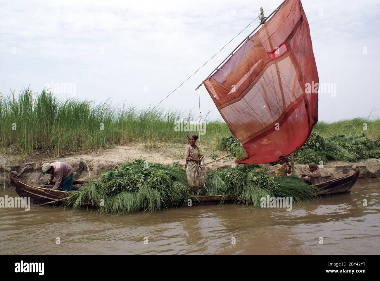 Sail boat with grass Stock Photo - Alamy