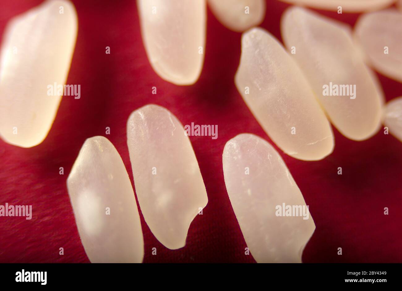 white rice close-up background texture Stock Photo - Alamy