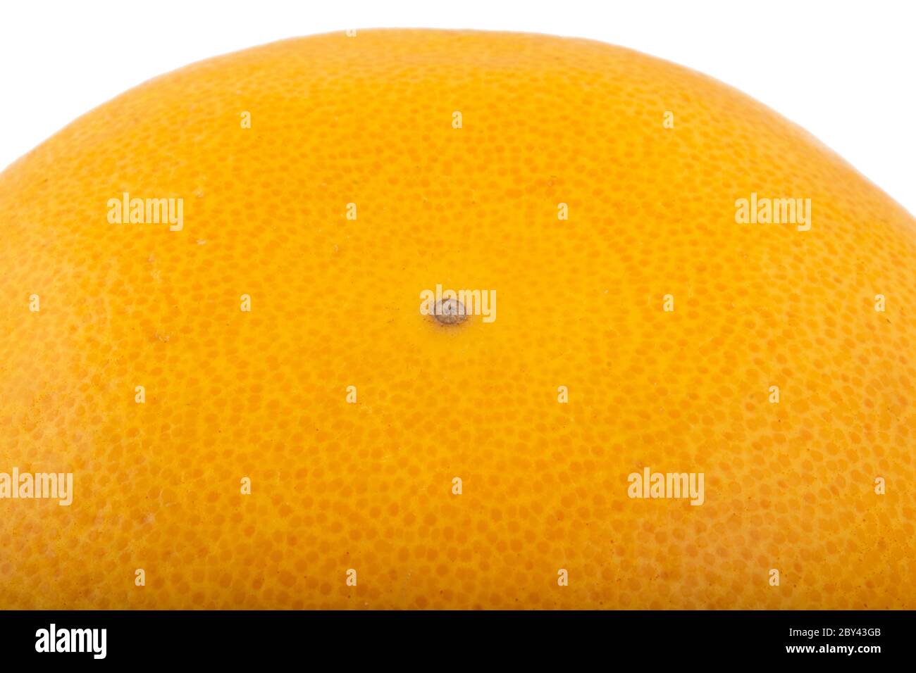 yellow grapefruit on a white background Stock Photo - Alamy