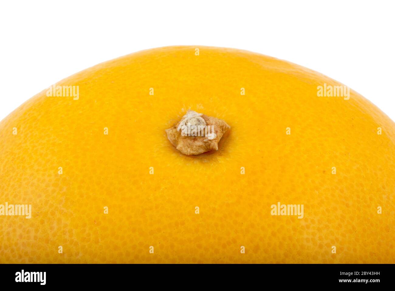 yellow grapefruit on a white background Stock Photo - Alamy