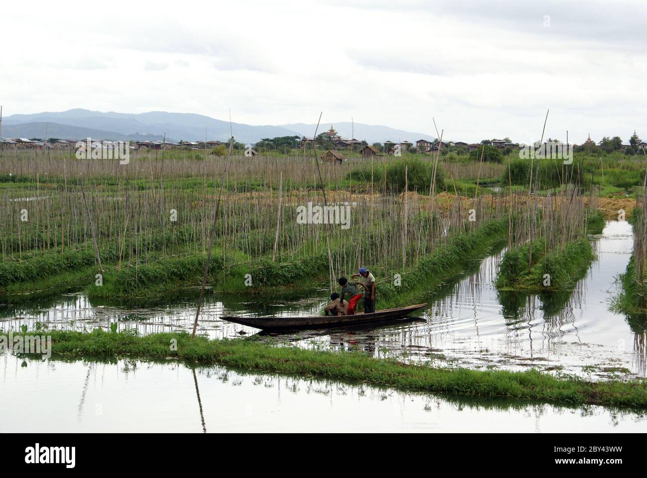 Floating garden on the lake Stock Photo - Alamy