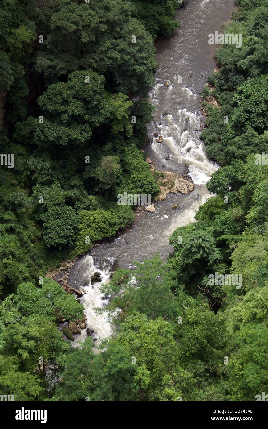 River and forest Stock Photo - Alamy