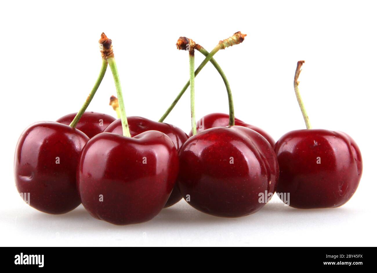 Japanese cherry blossom trees Cut Out Stock Images & Pictures - Alamy