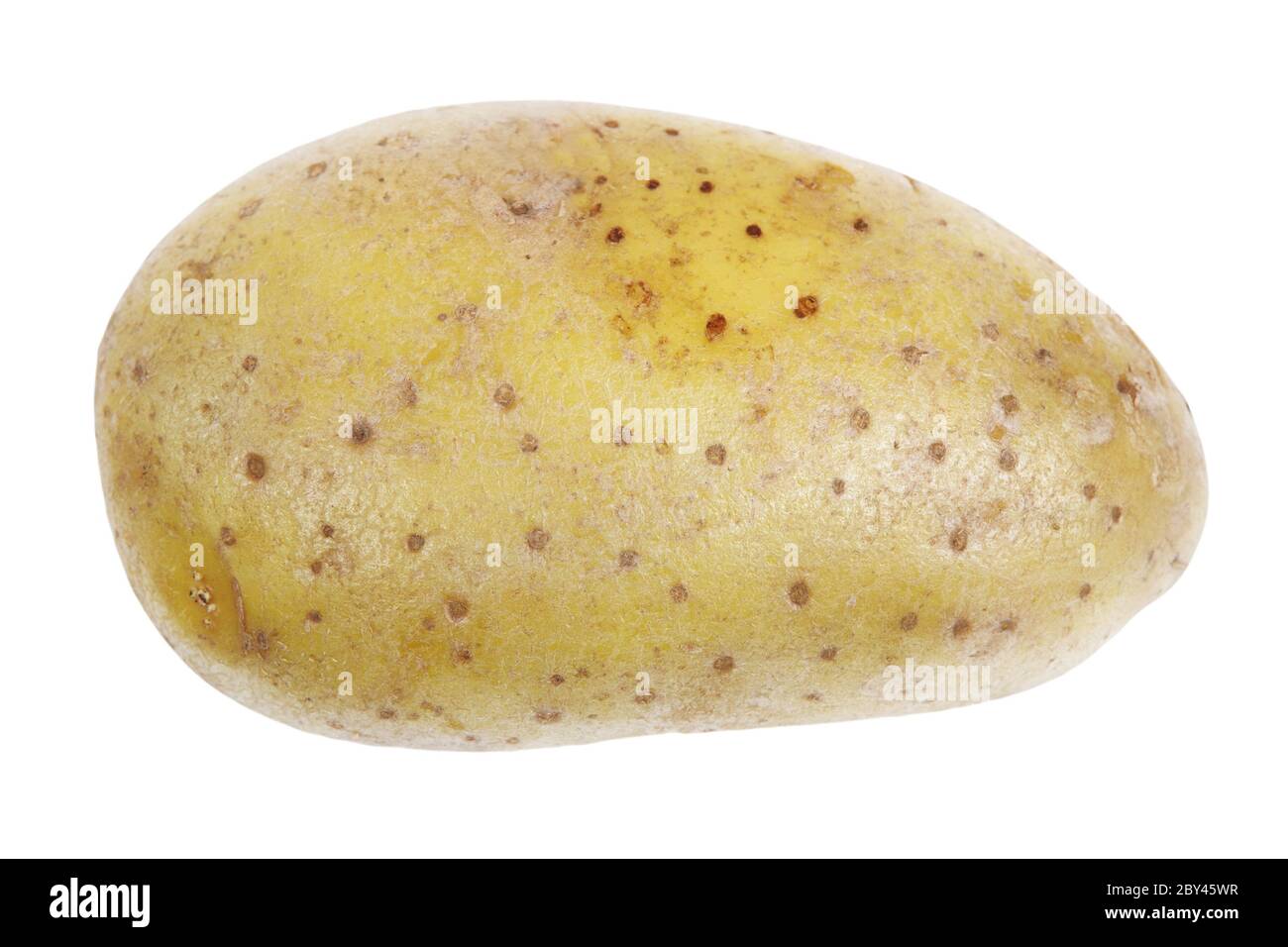 Single potato hi-res stock photography and images - Alamy