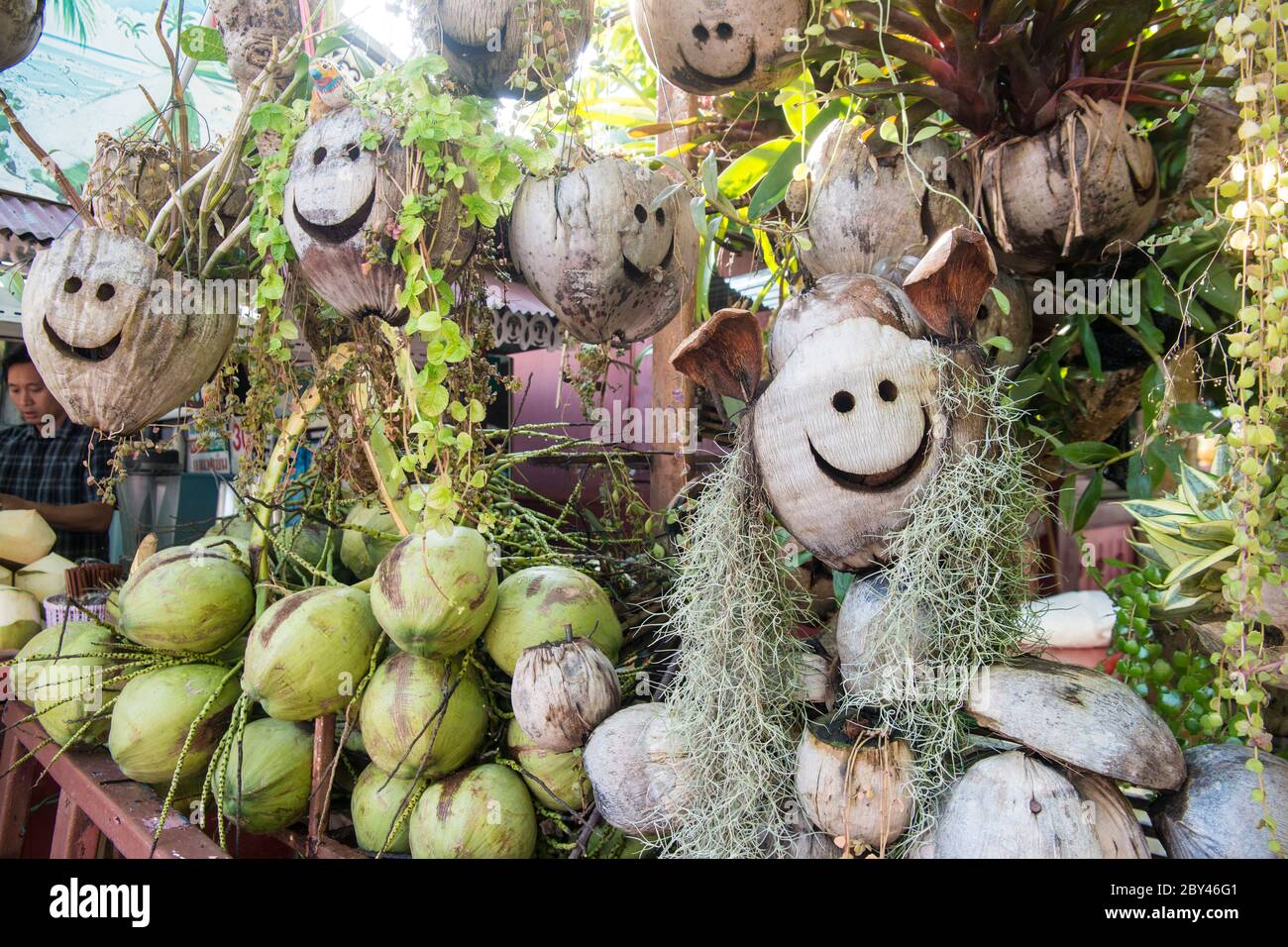 Coconut triangle hi-res stock photography and images - Alamy