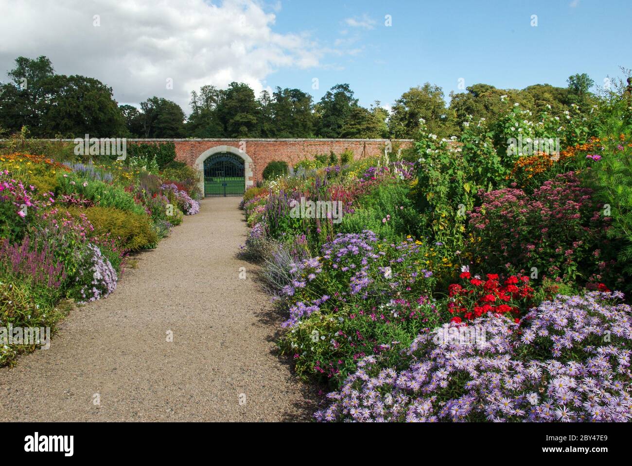 Colourful flower borders in Summer in the Walled Garden, Floors Castle ...
