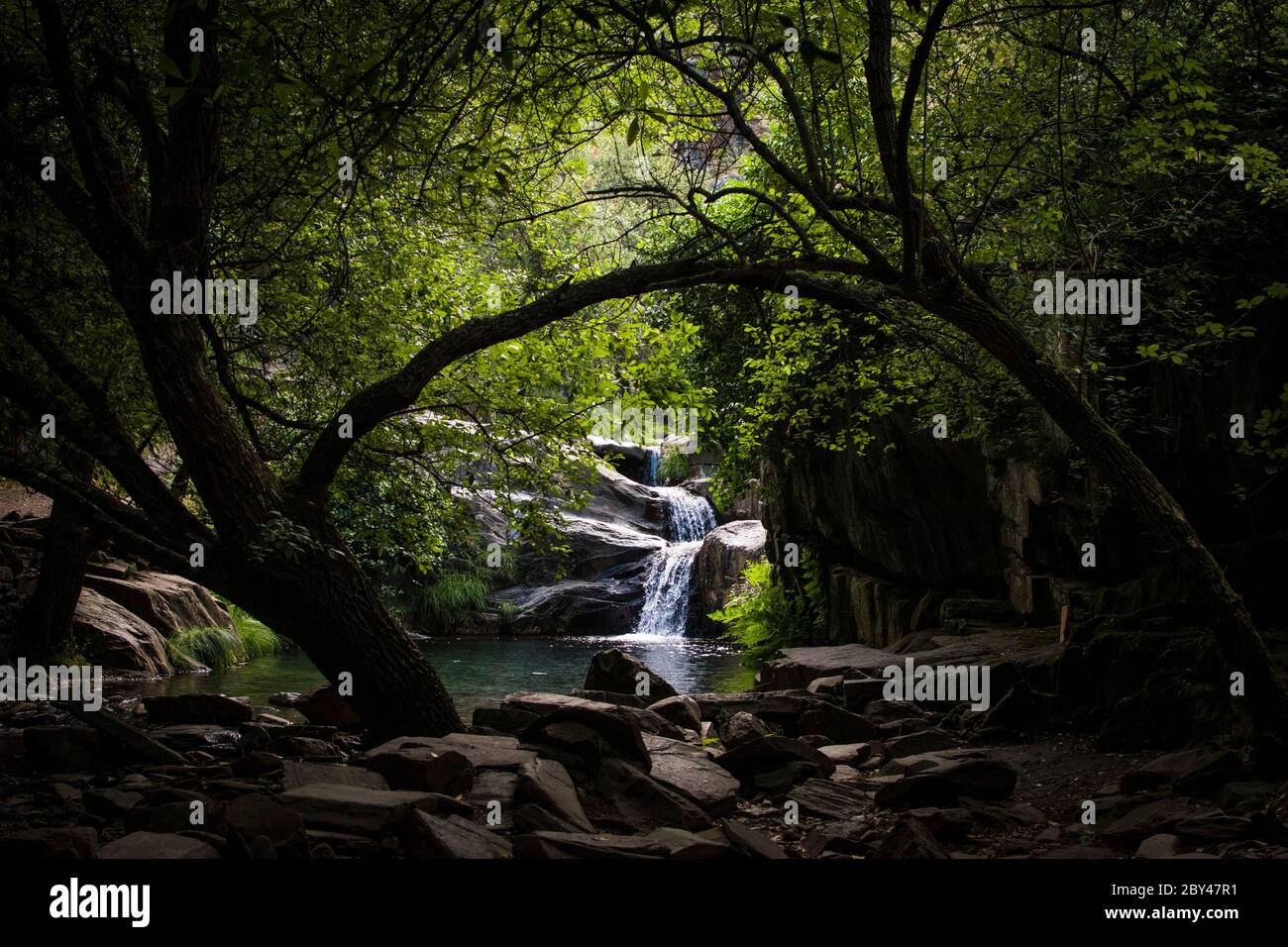 Waterfall going down a stream in the middle of a scenic forest with ...