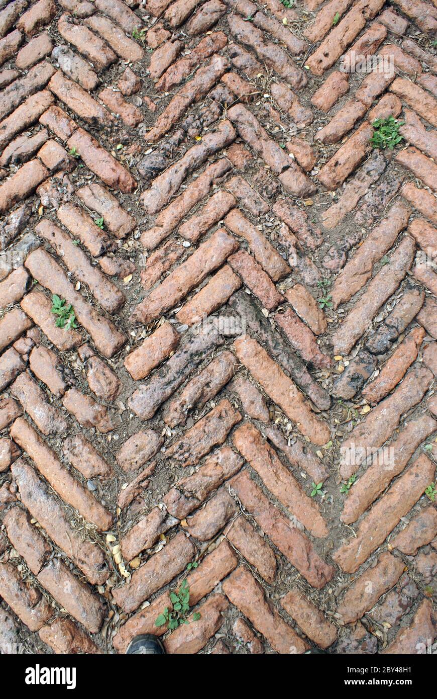 Bricks on the road Stock Photo - Alamy