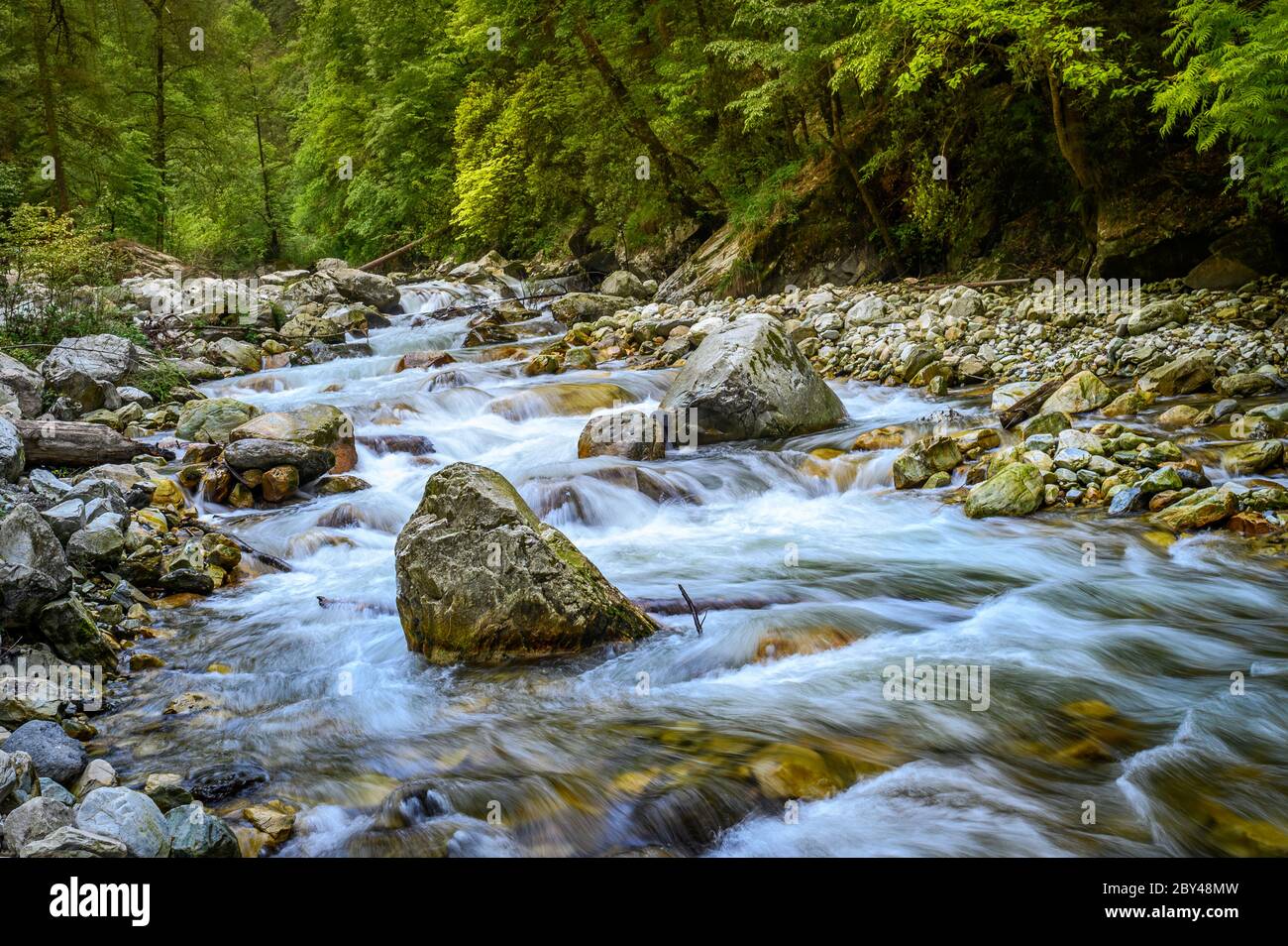 Parvati River flows through the forest with strong currents, Kasol ...