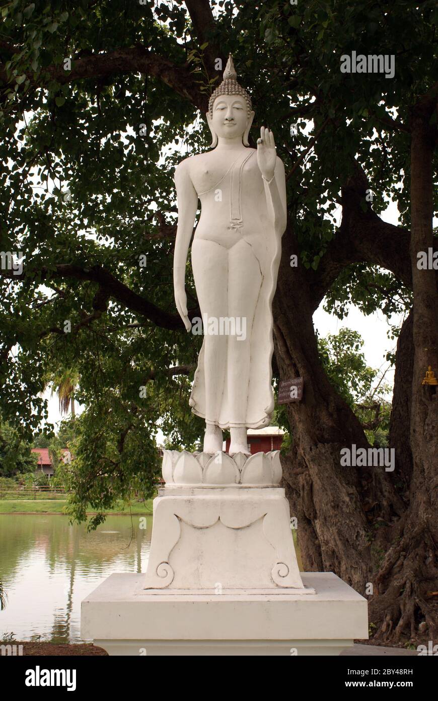 Meditating buddha statue under tree hi-res stock photography and images ...