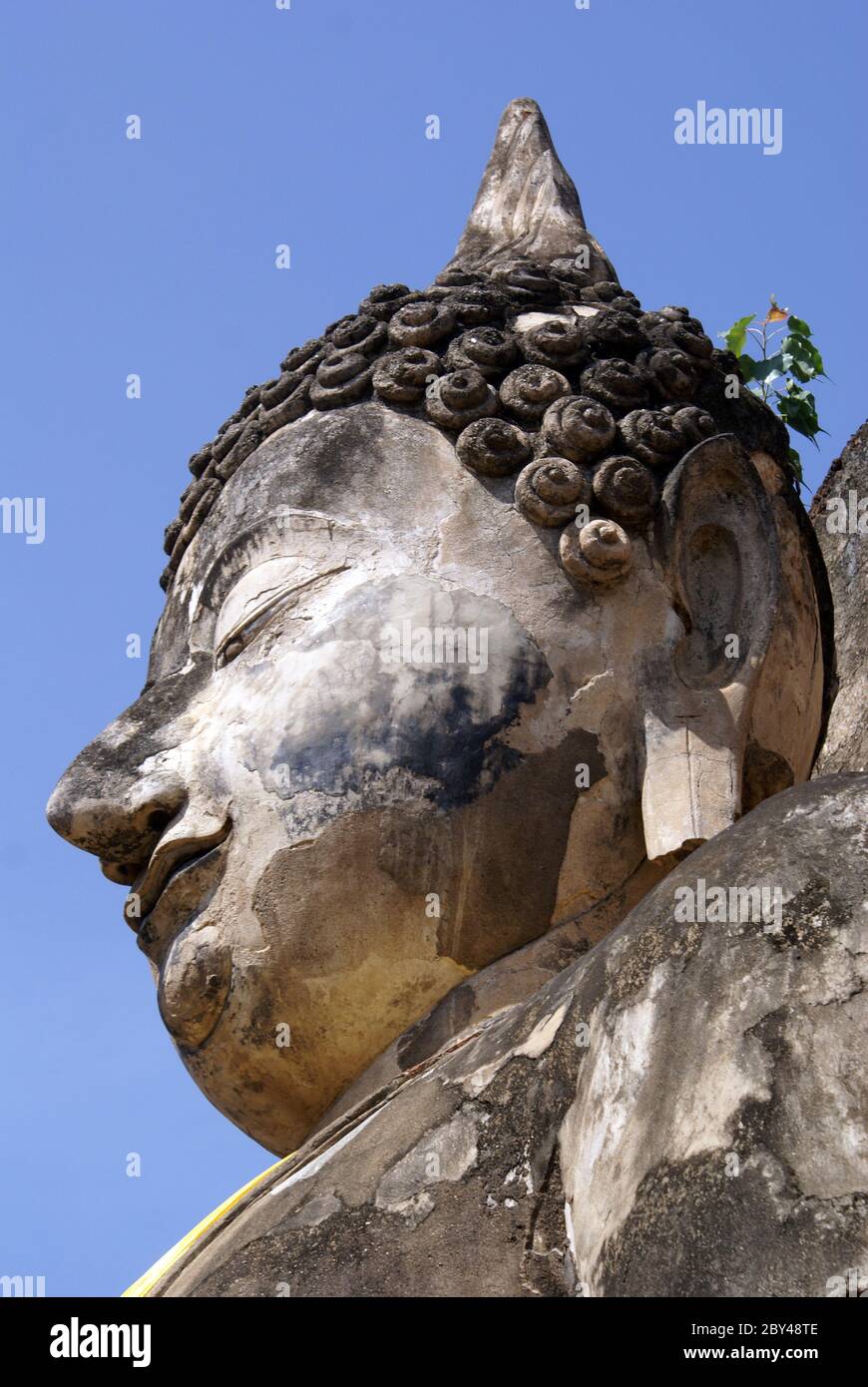 Statue of buddhas head hi-res stock photography and images - Alamy