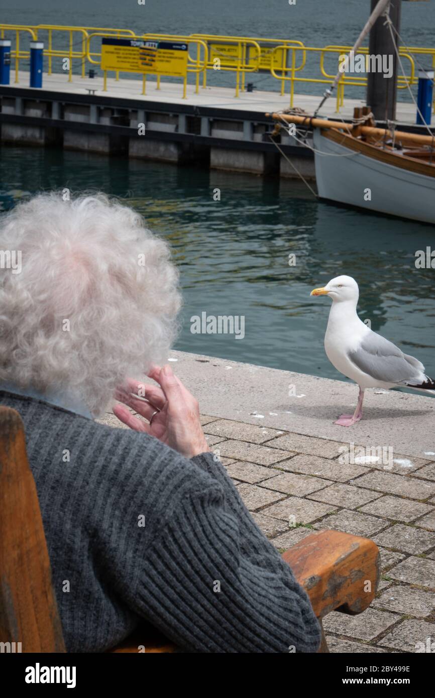 Onlooking hi-res stock photography and images - Alamy