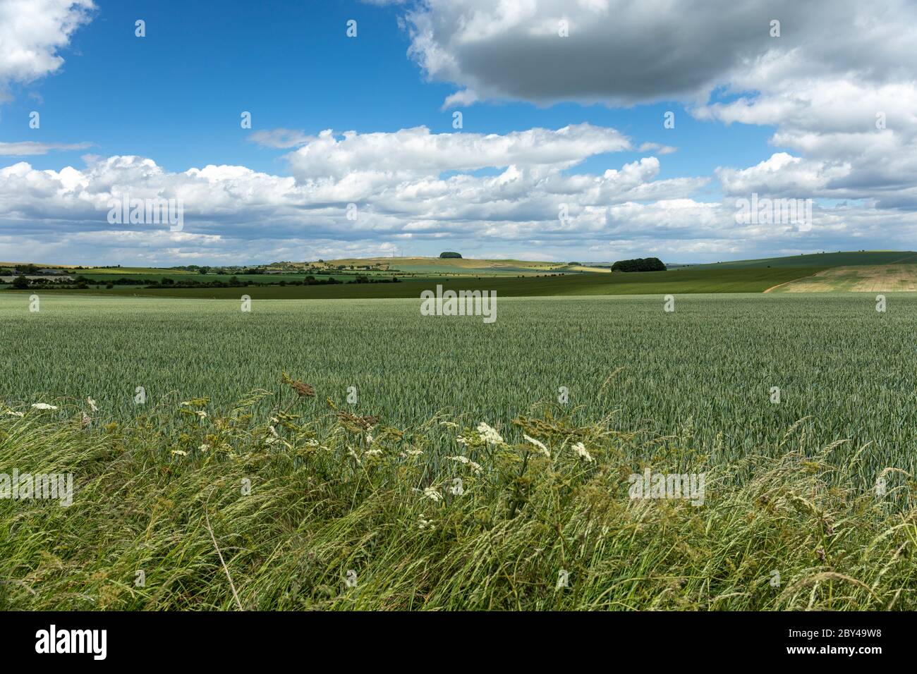 Looking towards Furze Knoll from a byway leading to Olivers Castle ...