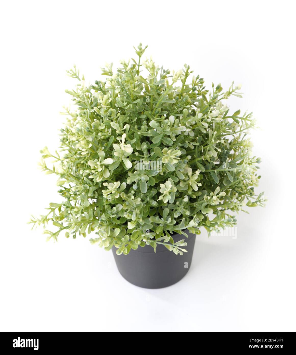 Pot home Cut Out Stock Images & Pictures - Alamy