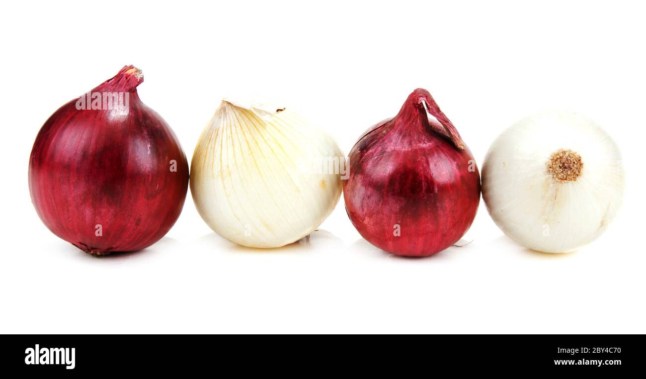 Light and blue onion lies in row Stock Photo - Alamy